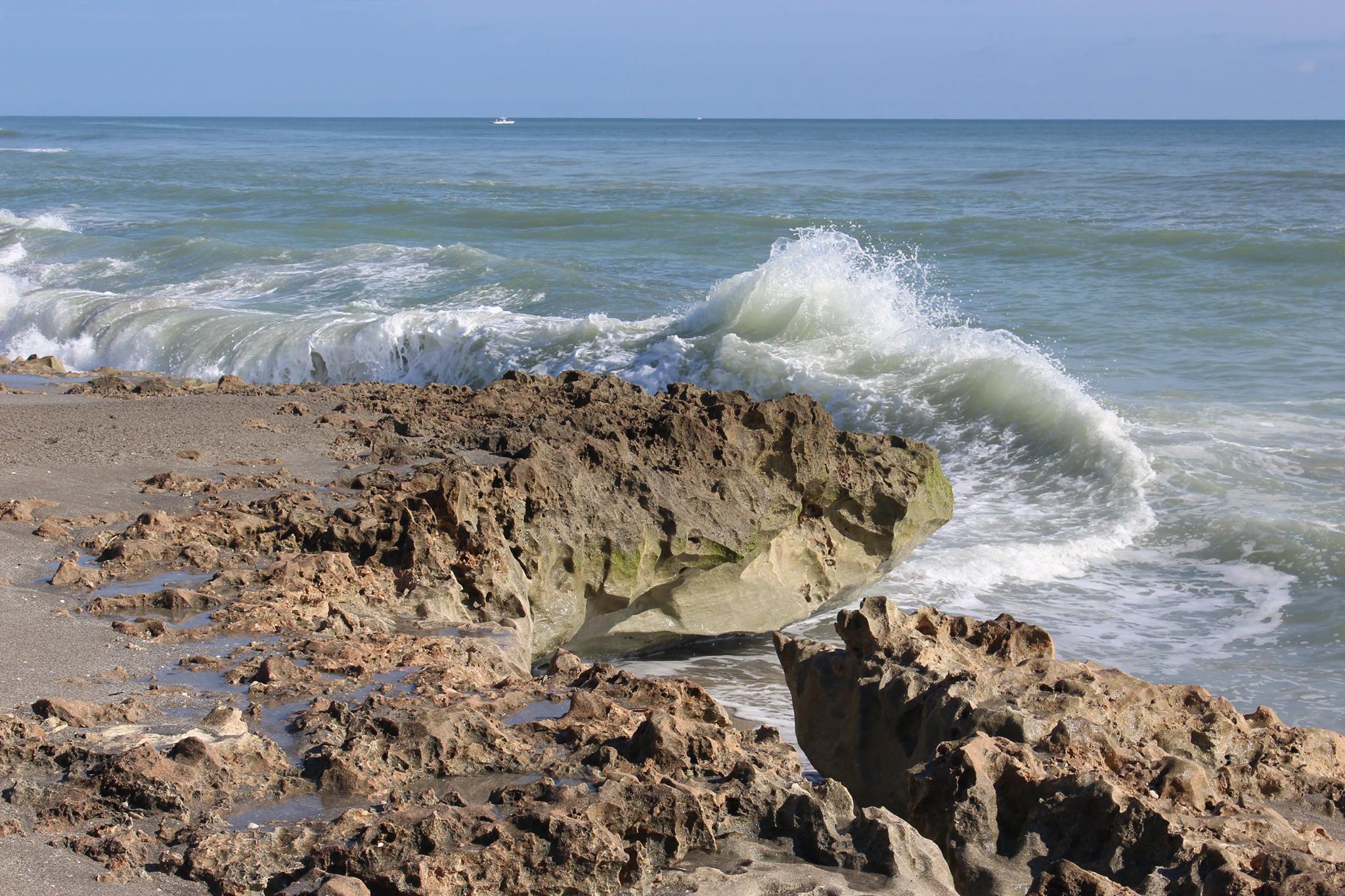 Blowing Rocks Preserve offers different kind of Florida barrier island ...